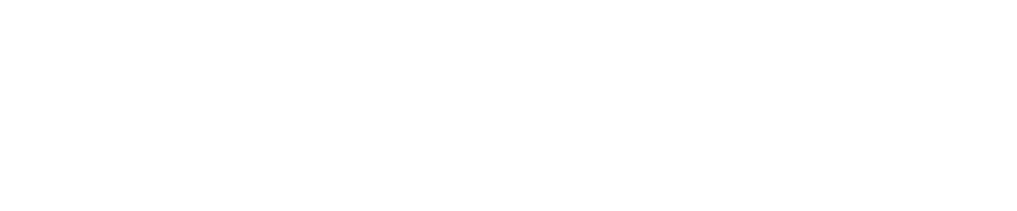 Our Traders - SPARK*